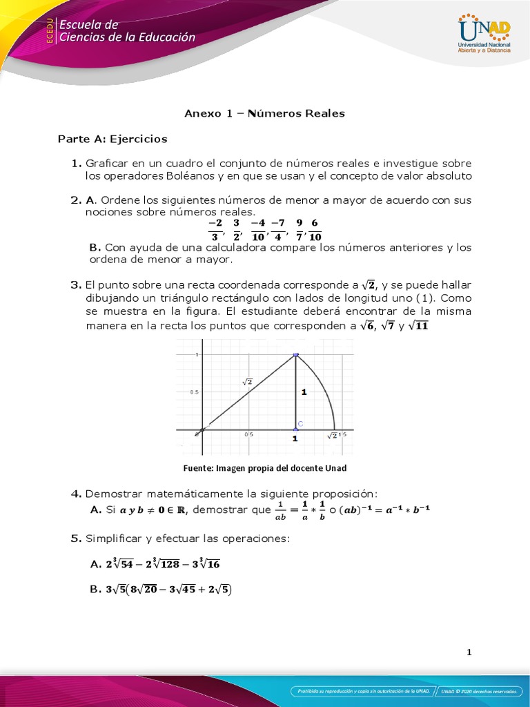 Anexo 1 - Números Reales | PDF