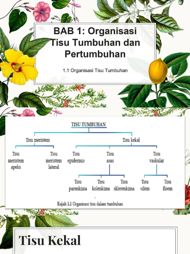 KSSM F5 Bio CH 1 | PDF