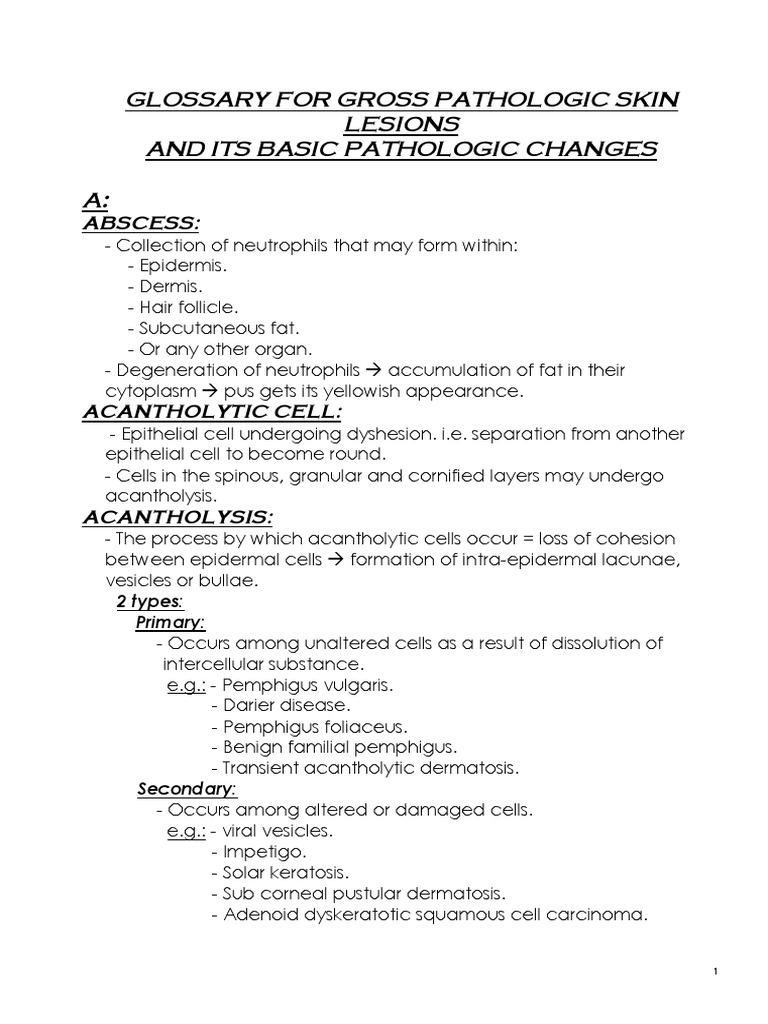 DR Hany Abo Alwafa - Pathology Glossary | PDF | Epidermis | Skin