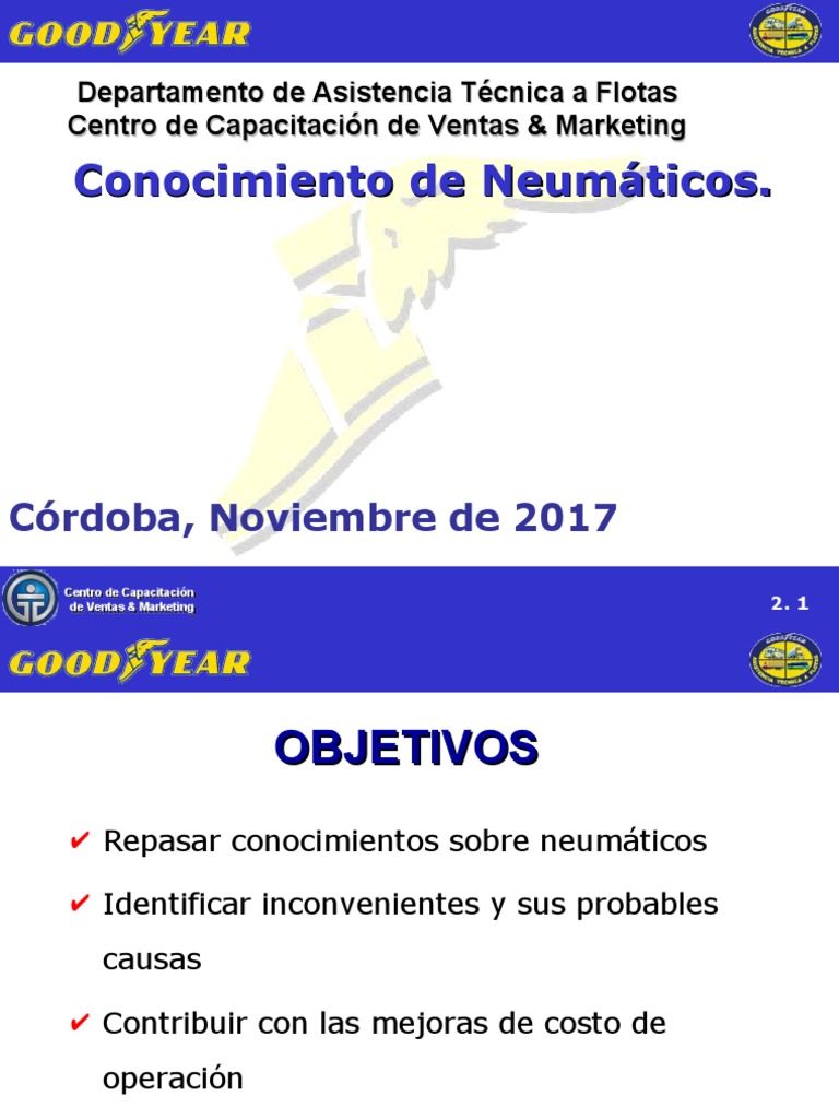 Goodyear | PDF