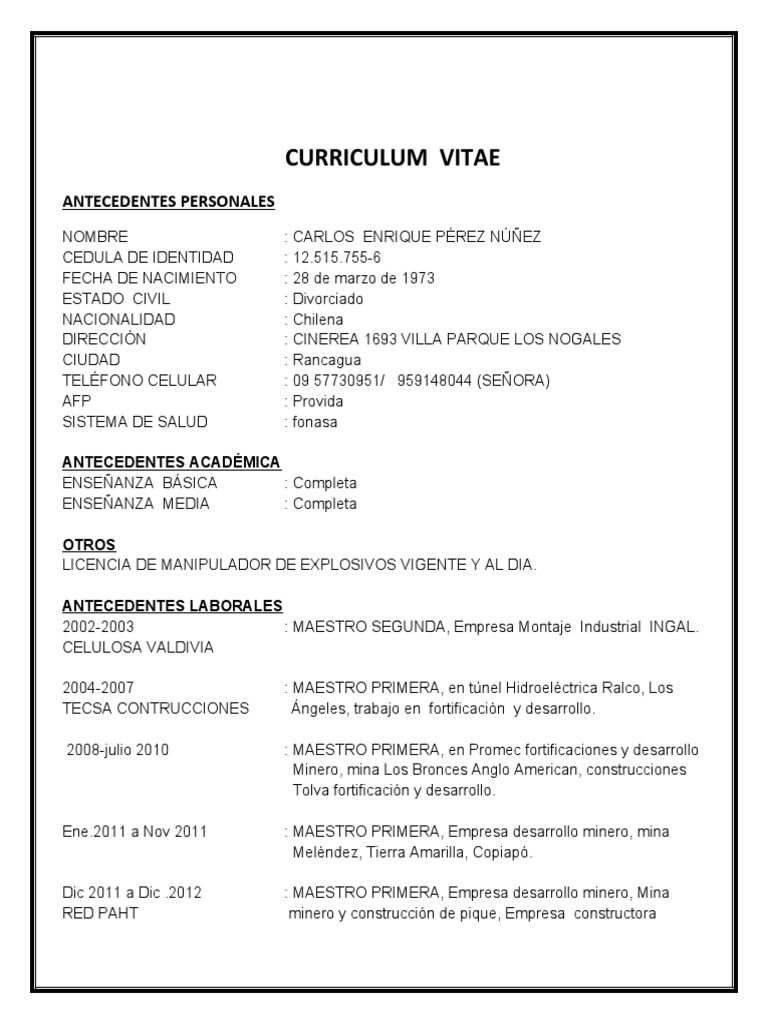 CURRICULUM VITAE Carlos Perez 2022 (1) | PDF | Chile | Economias