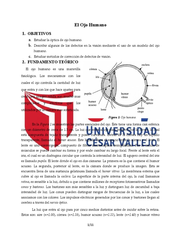 S-8 Lab 7 OJO HUMANO | PDF | Tecnología