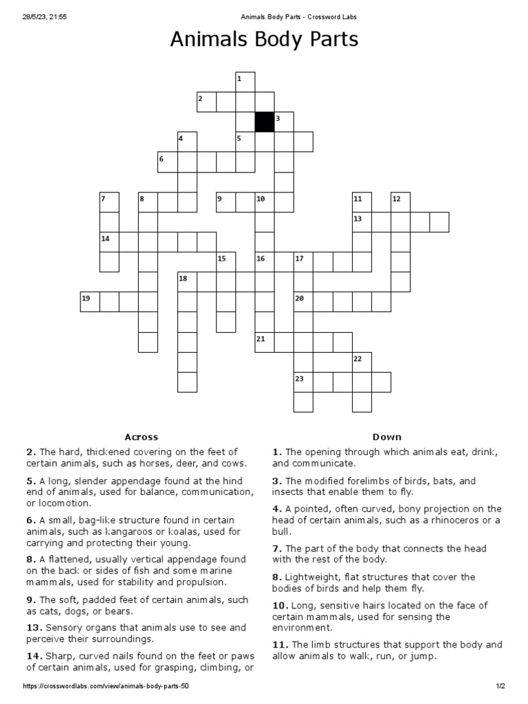 Animals Body Parts - Crossword Labs | PDF | Mouth | Mammals