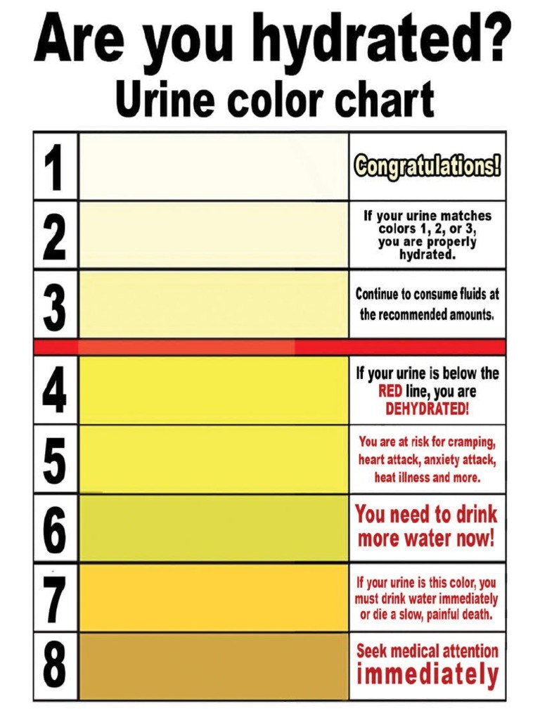 Urine Color Chart | PDF
