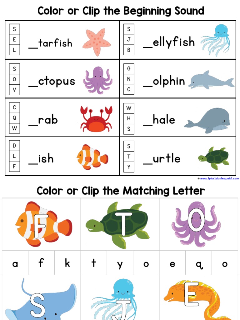 Ocean Animal Learning Activities | PDF