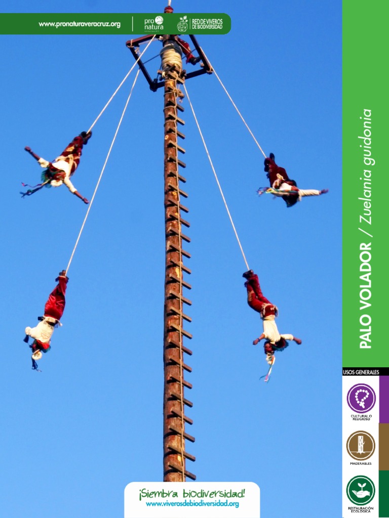 Palo Volador v2 | PDF