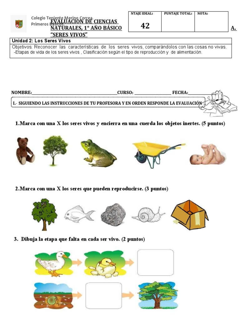 Evaluación ciencias Unidad 2 Los Seres vivos. Primeros. | PDF
