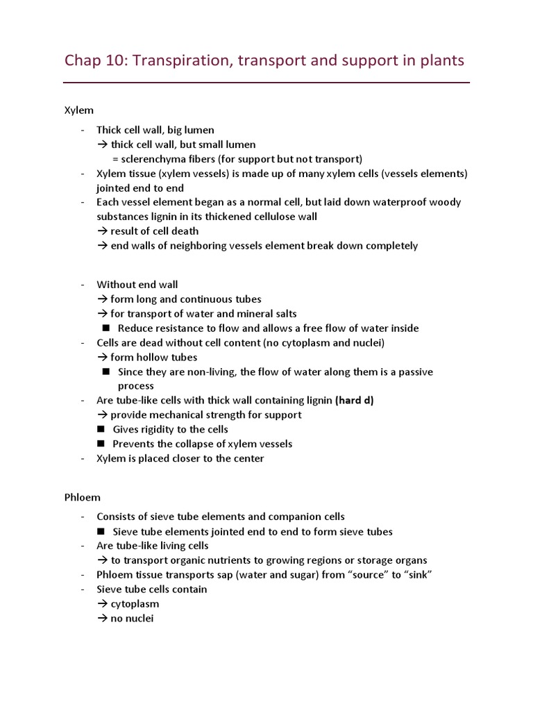Transpiration, Transport and Support in Plants | PDF | Tissue (Biology ...