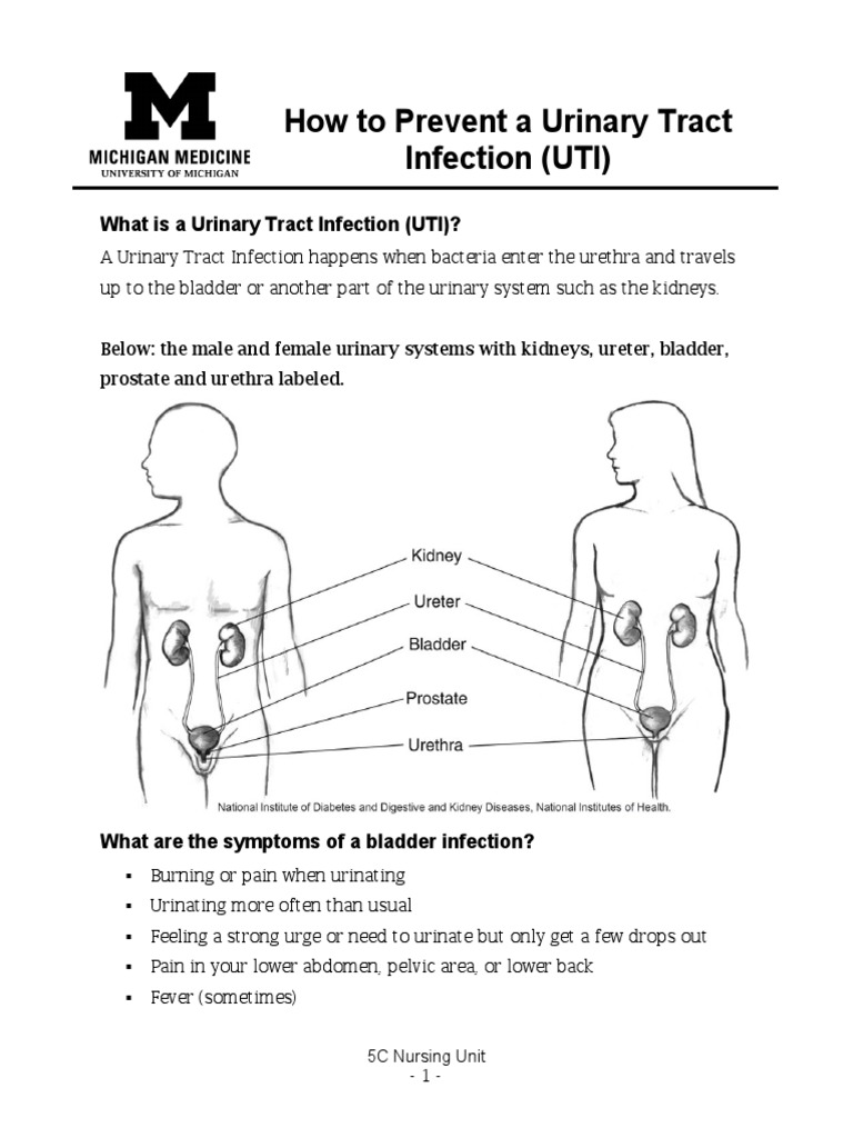 Ut I Prevention | Download Free PDF | Urinary Tract Infection | Urinary ...