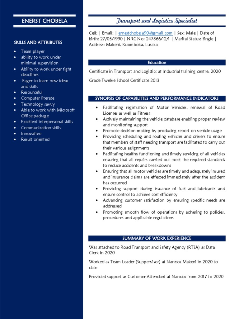Enerst Chobela's CV | PDF | Transport | Vehicles