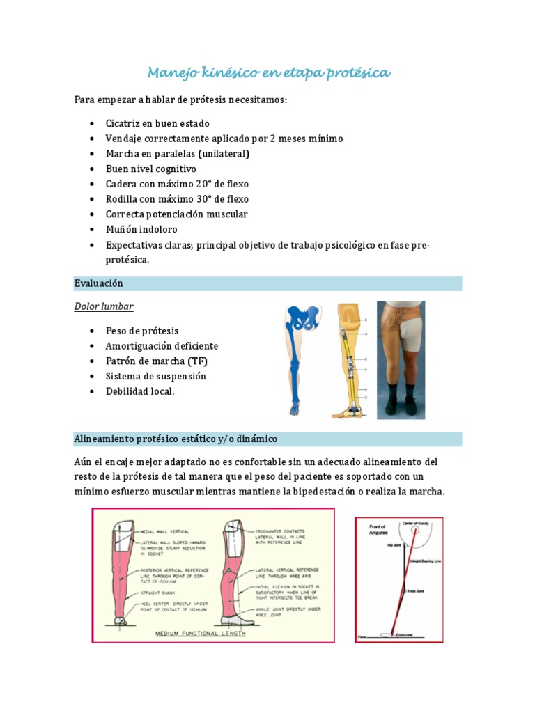 Clase 2 Modulo | PDF | Pie | Rodilla