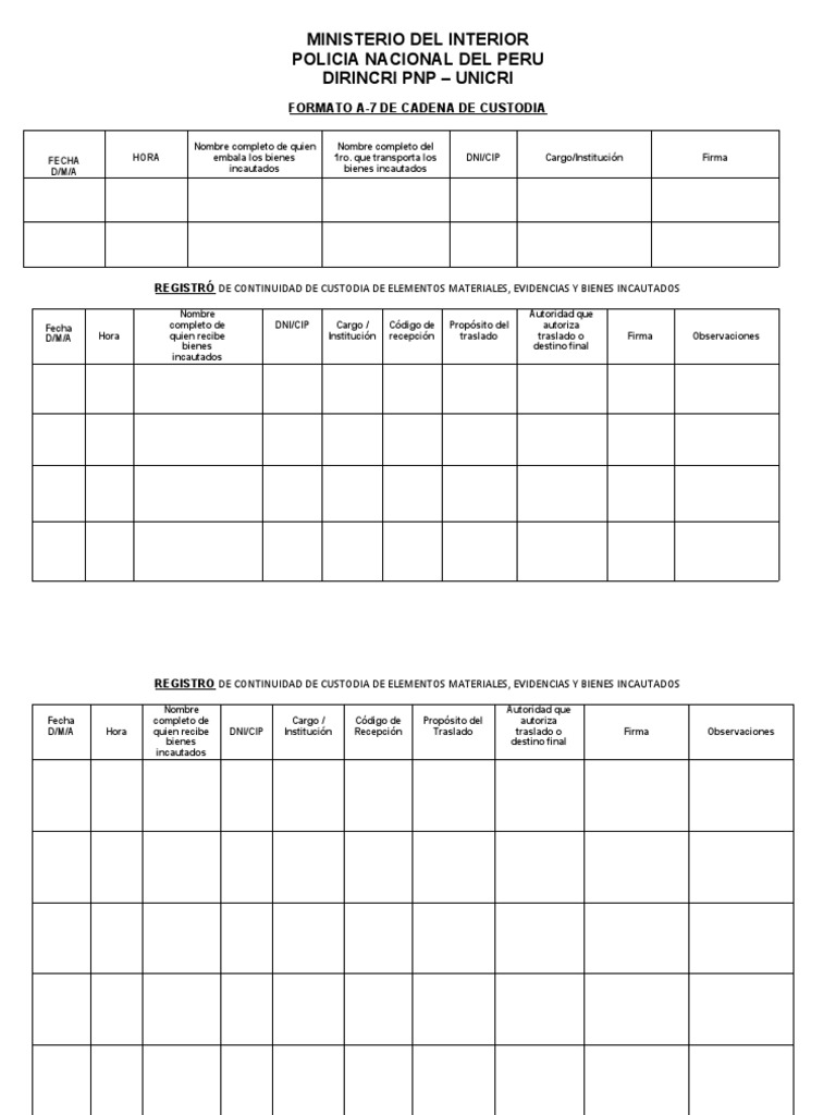 A7 Cadena De Custodia Pdf