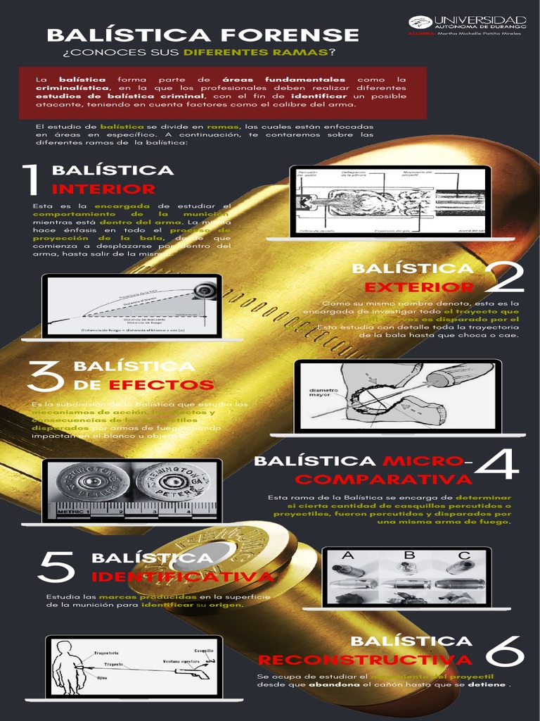 INFOGRAFIA BALISTICA | PDF | Balística | Munición