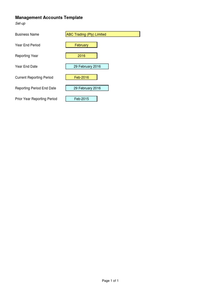 Monthly Management Accounts Template Free Excel Template (2) | PDF