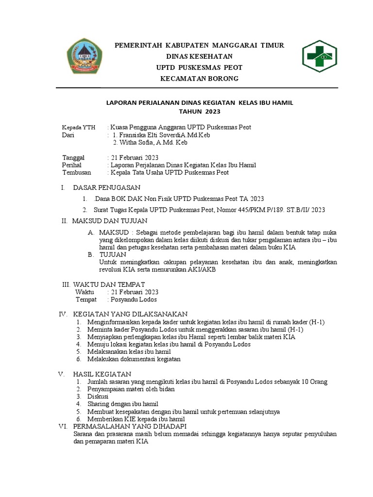 LPD Kelas Ibu Hamil Lodos | PDF