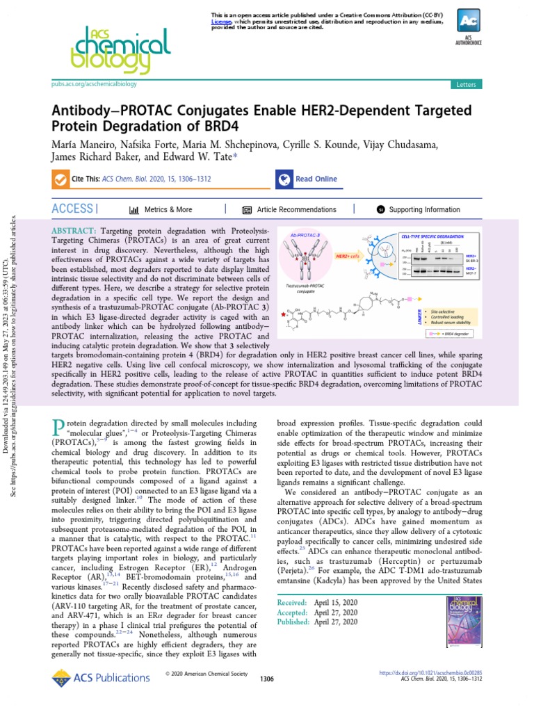 Antibody Conjugate Protac | PDF | Chemistry | Biology