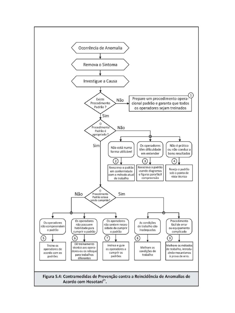 Hosotani Plano Ação | PDF