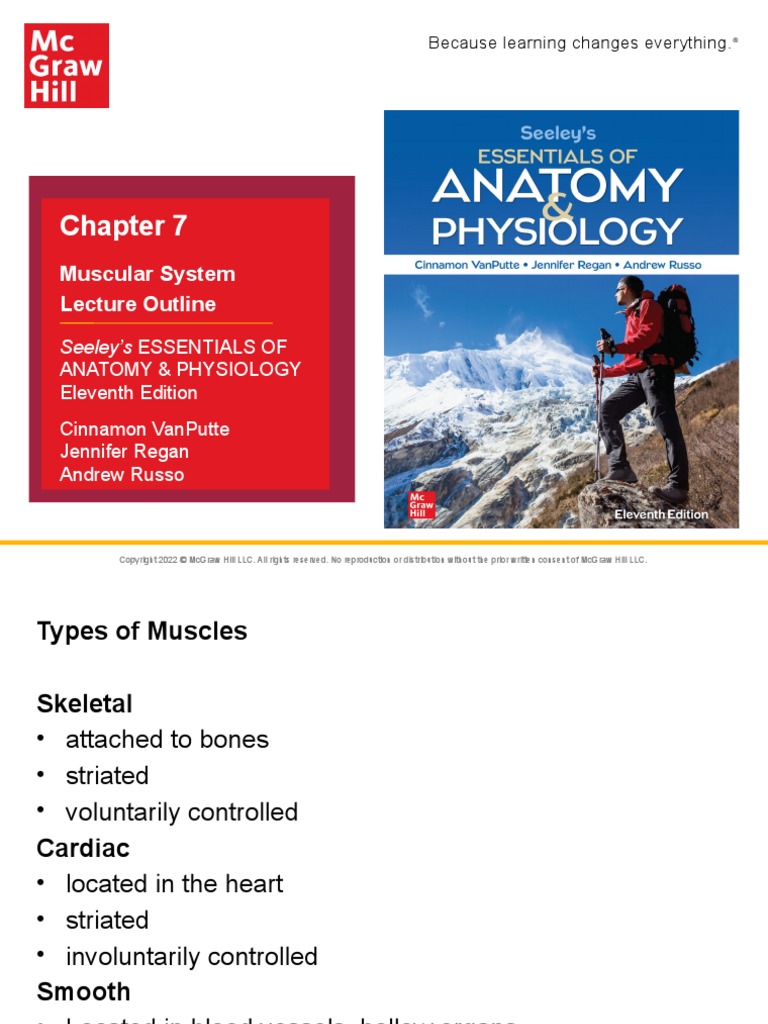 VanPutte Seeleys Essentials 11e Chap07 PPT Accessible | PDF | Muscle ...