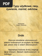 Toudi PDF | PDF