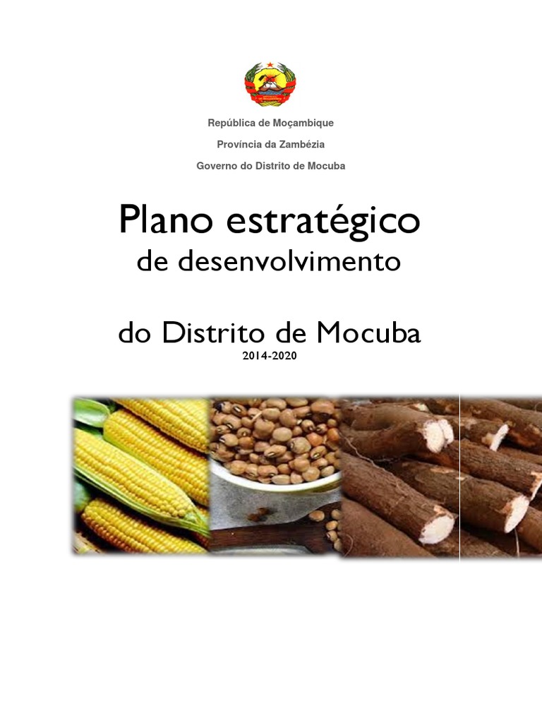 PEDD+do+distrito+de+Mocuba+versão+final+2013+-2020 | PDF | Ferimento ...