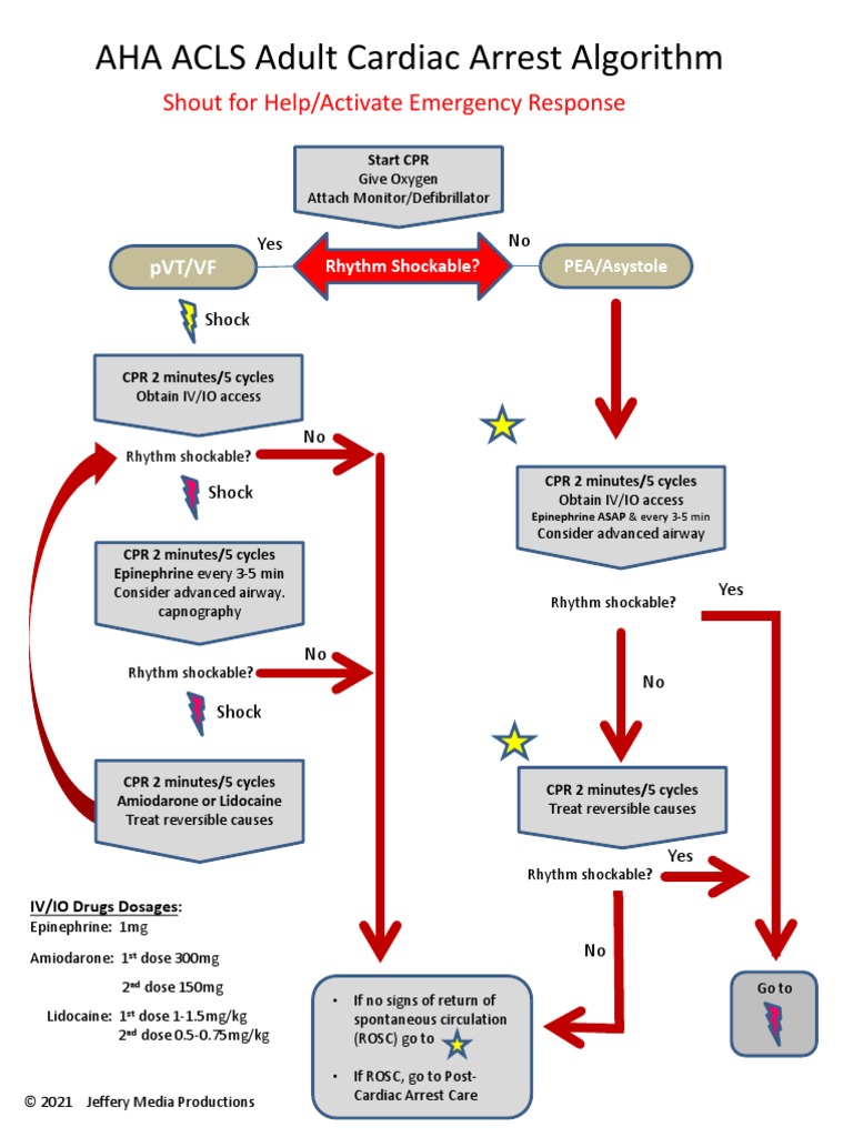 Website Adult Cardiac Algorithm Diagram | PDF