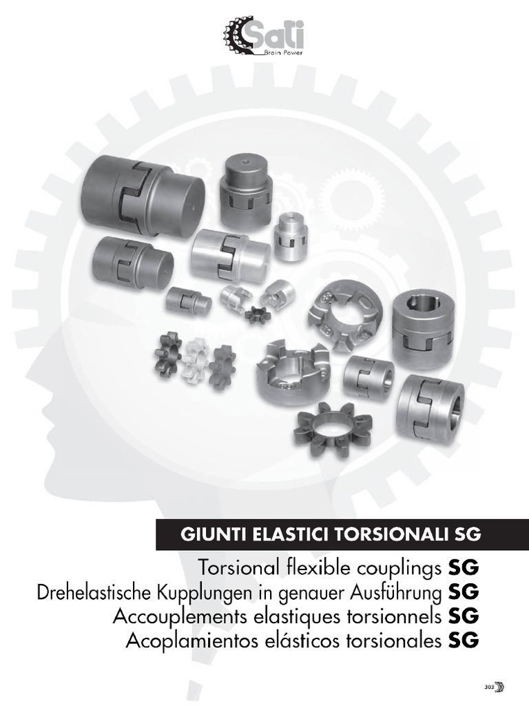 SATI Accouplement-1 | PDF