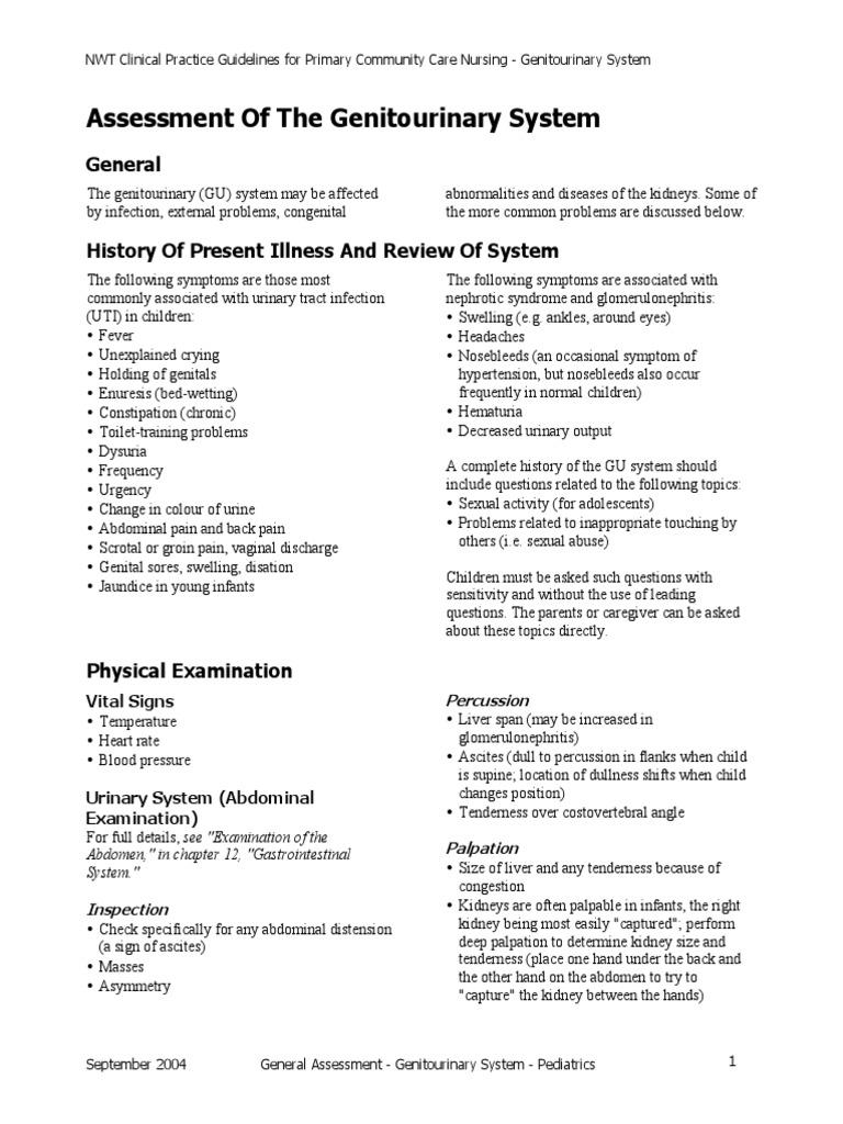 Assessment of The Genitourinary System: General | PDF | Testicle ...