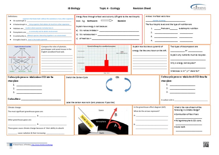 Topic 4 Ecology | PDF | Food Web | Carbon Cycle
