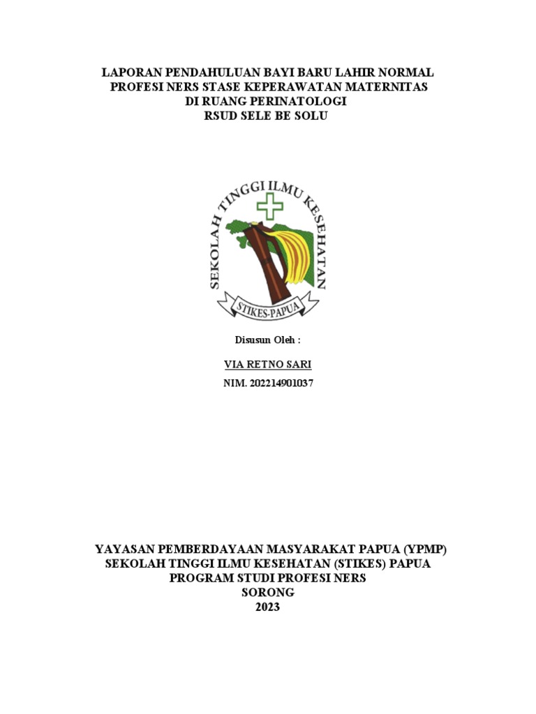 LP Bayi Lahir Normal (Perina) | PDF