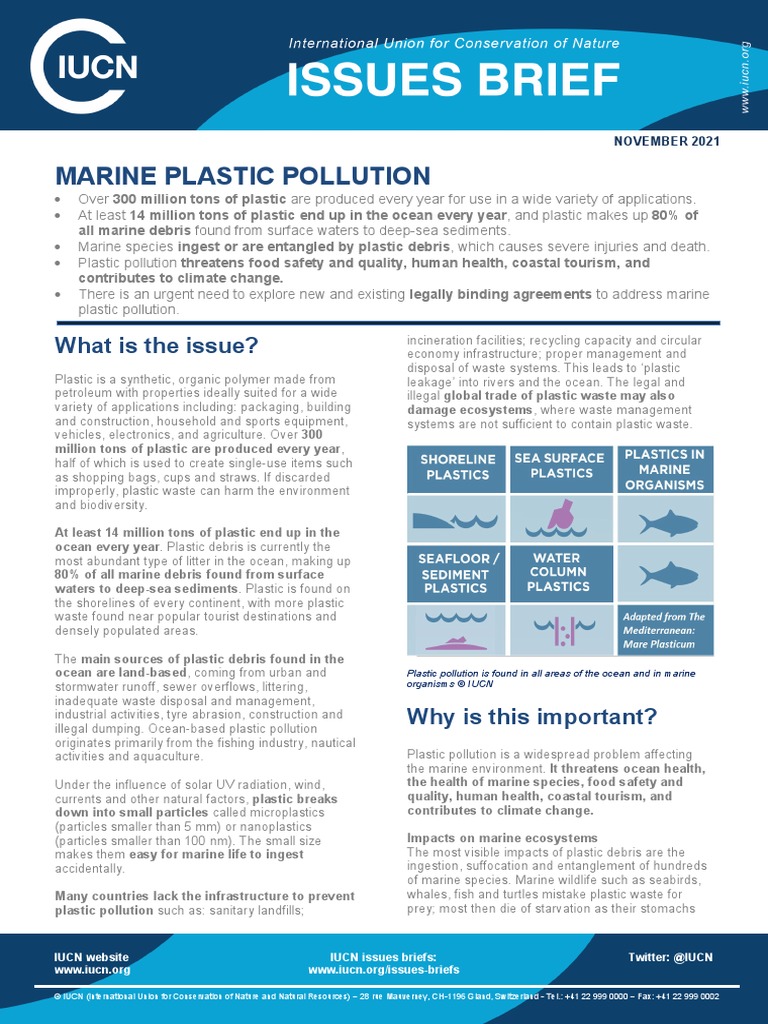 marine_plastic_pollution_issues_brief_nov21 | PDF | Waste | Plastic