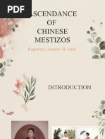 Chinese Mestizos in Philippine History | PDF | Ethnic Groups | Ethnicity