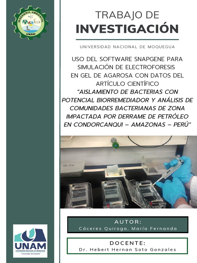 Uso Del Software Snapgene para Simulación de Electroforesis en Gel de ...
