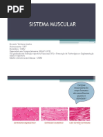 Nomes de 100 Músculos Do Corpo Humano | PDF | Sistema Locomotor ...