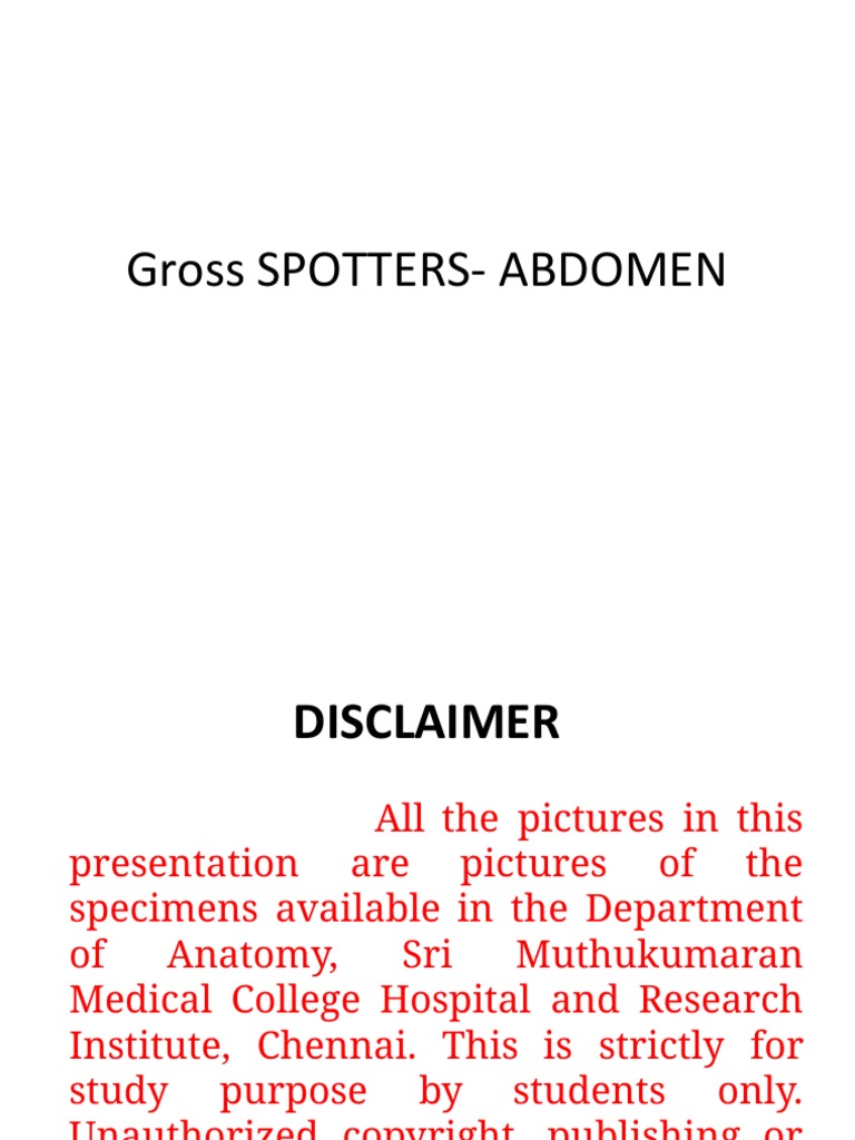 4.abdomen and Pelvis Gross Spotters | PDF | Pancreas | Uterus