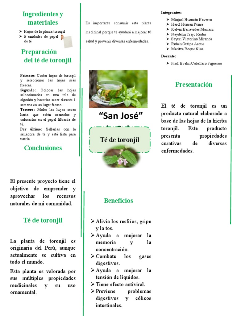 Triptico Toronjil | PDF | Salud y bienestar
