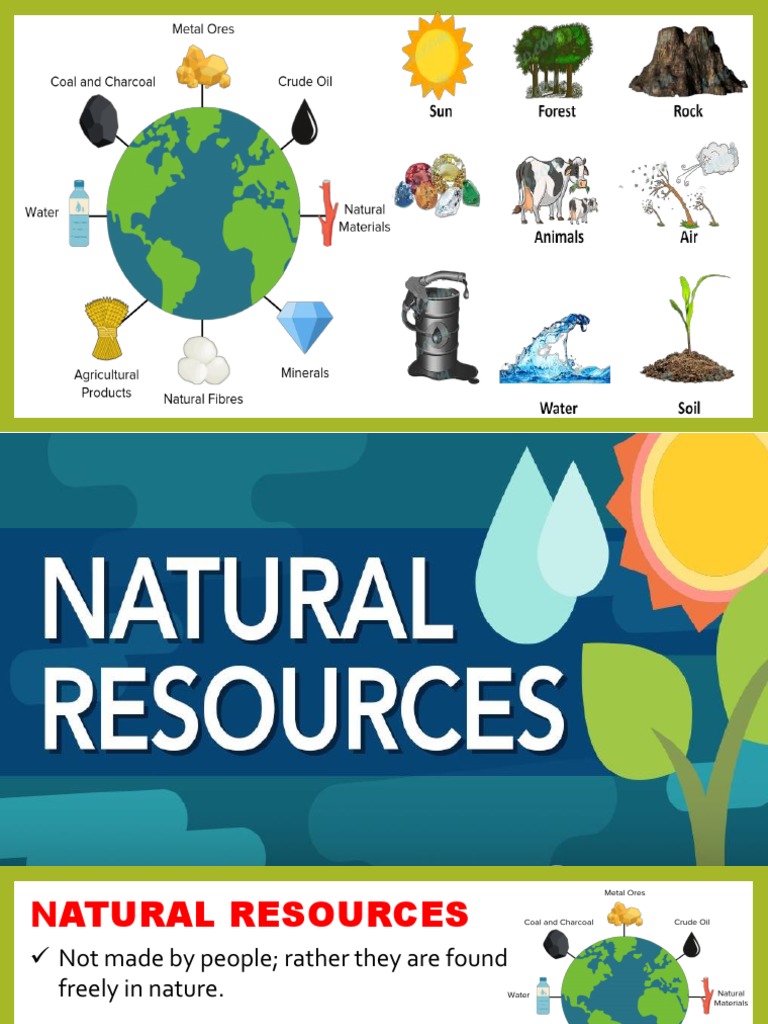 Natural Resources | PDF | Human Impact On The Environment | Eutrophication