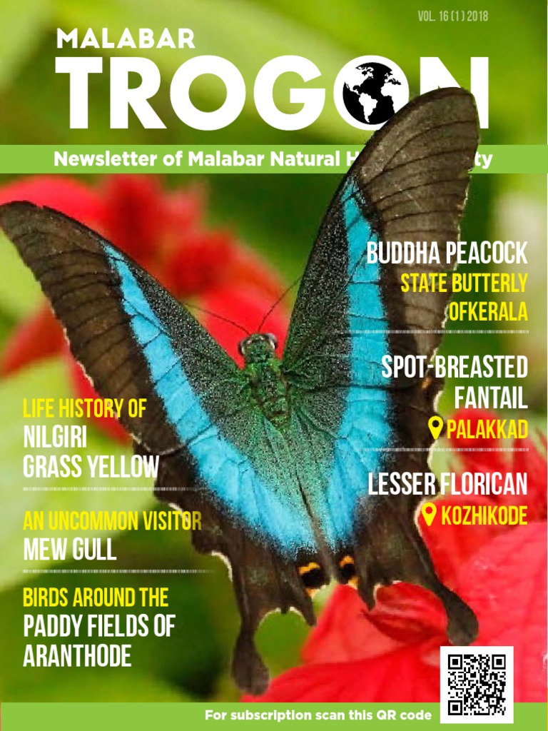 Malabar Trogon Vol.16 | PDF