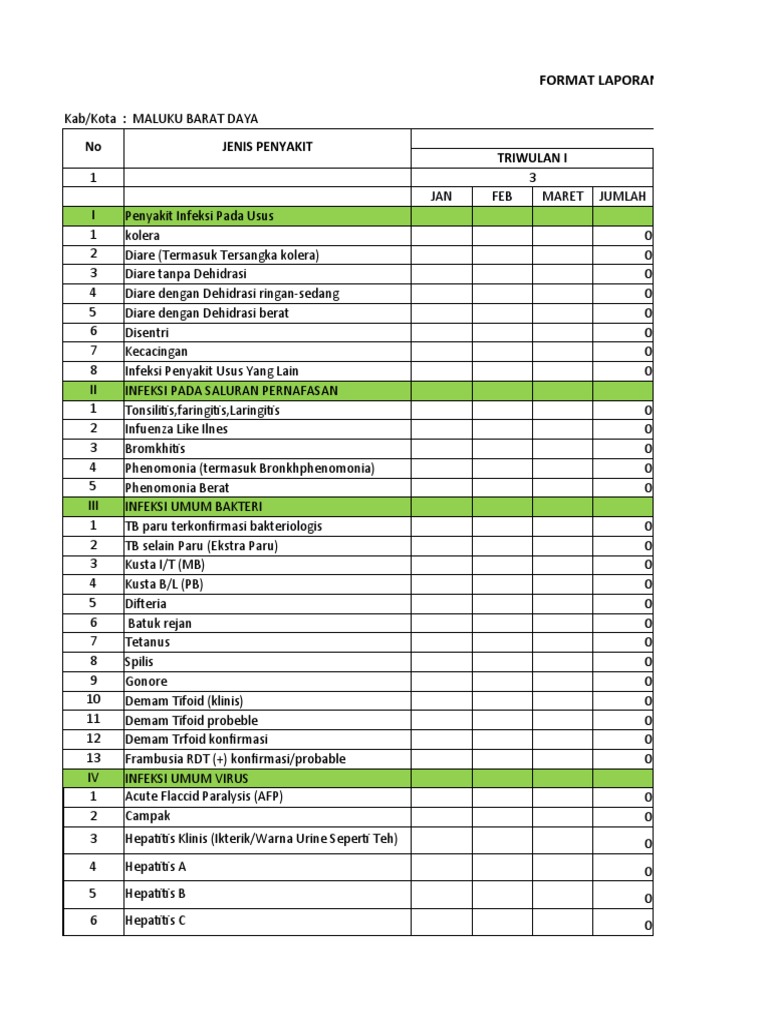 Format LB 1 Baru Puskesmas | PDF