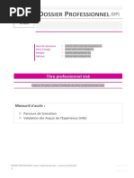 Dossier Professionnel : Modèle Word 2024 | PDF | Mise en page ...
