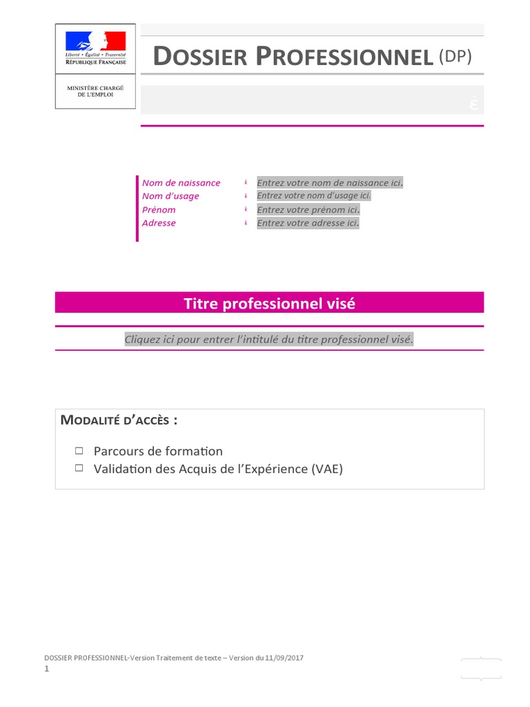 Trame Dossier Professionnel | PDF