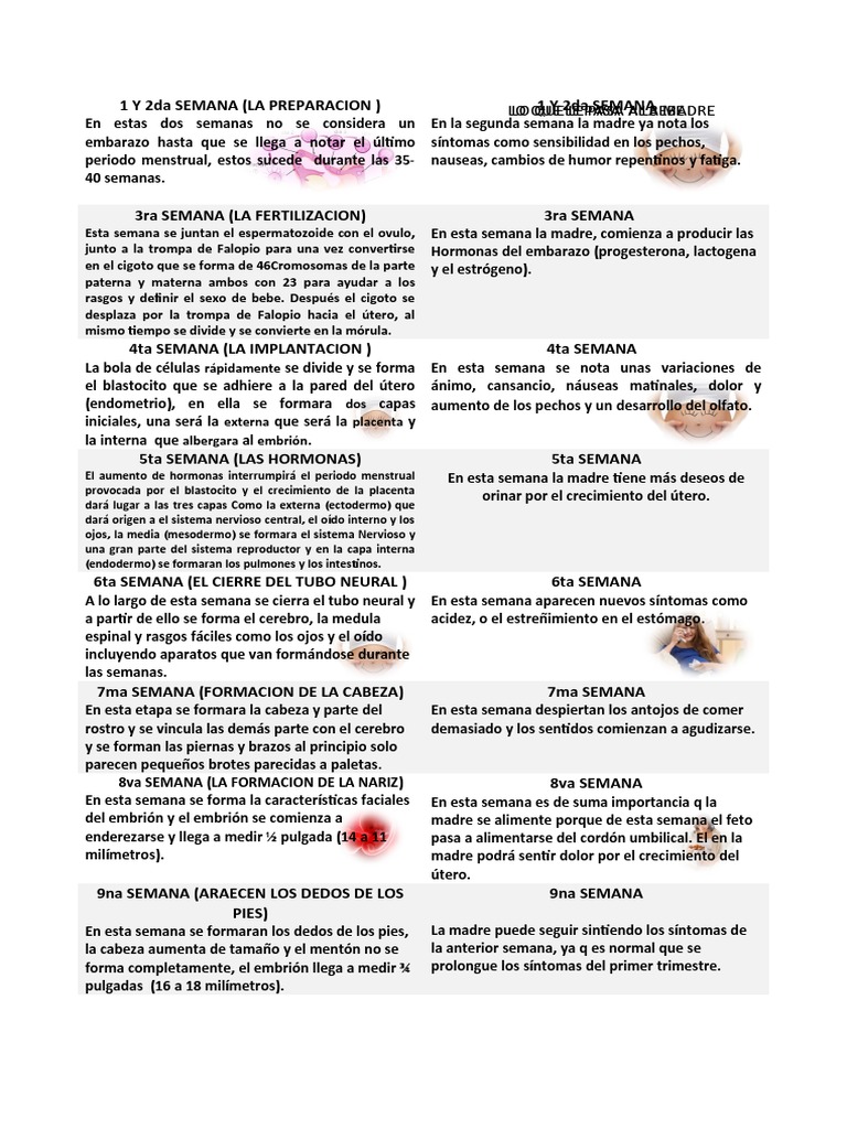 Semanas Del Embarazo | PDF
