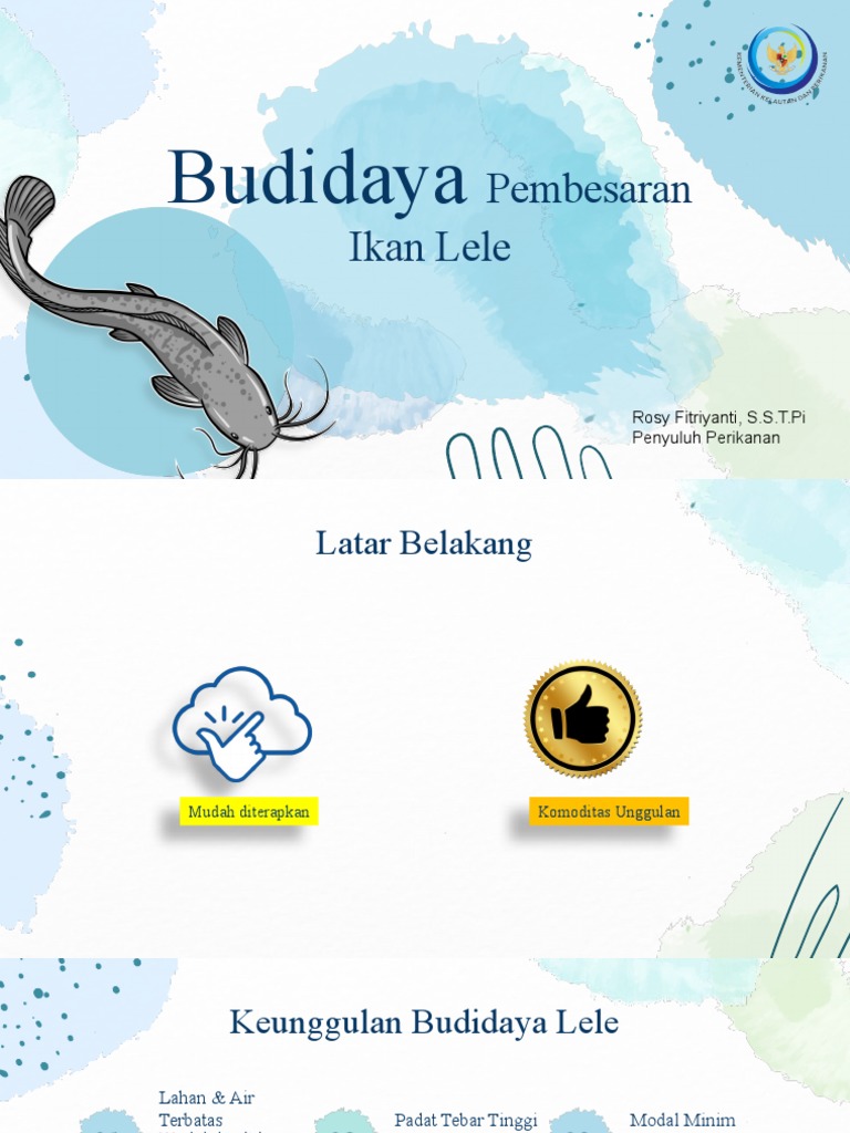 Budidaya Lele | PDF