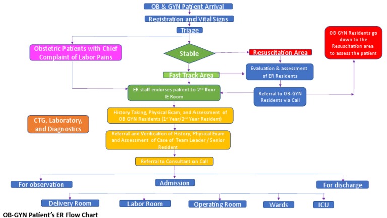 ER Patient Flow Chart | PDF