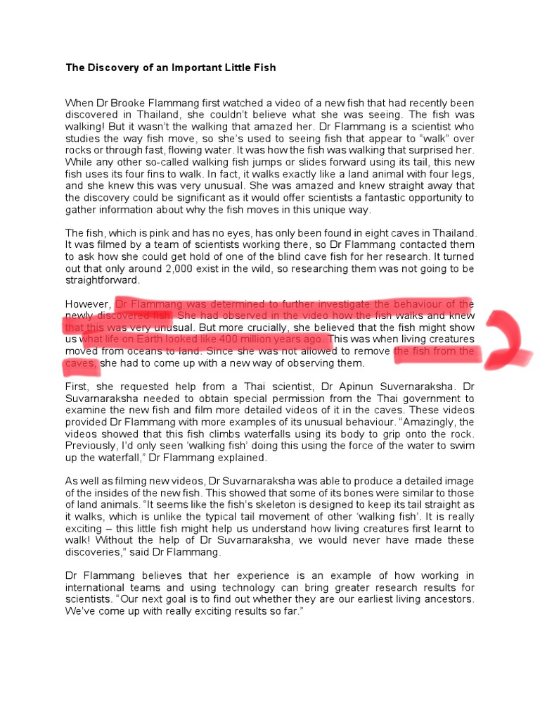 Comprehension Text - The Discovery of An Important Little Fish | PDF | Fish