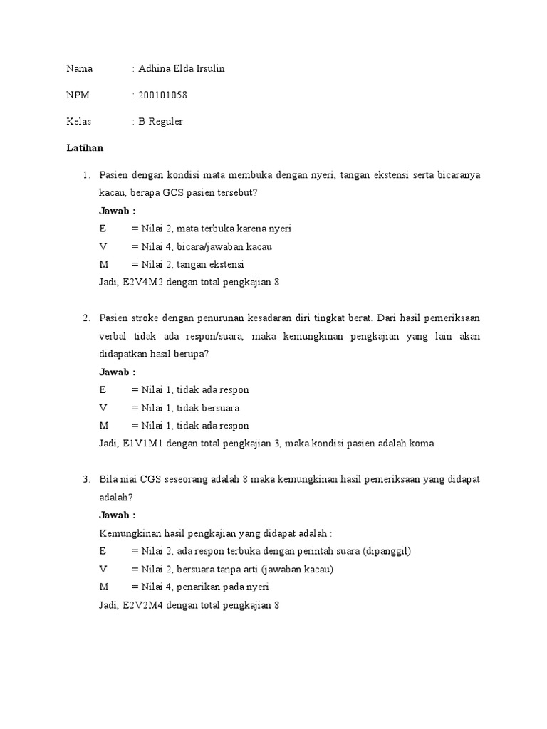 Adhina Elda Irsulin NPM 200101058 Kelas B Idk Ii | PDF