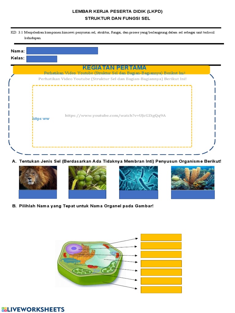 LKPD Struktur dan Fungsi Sel | PDF | Sains & Matematika