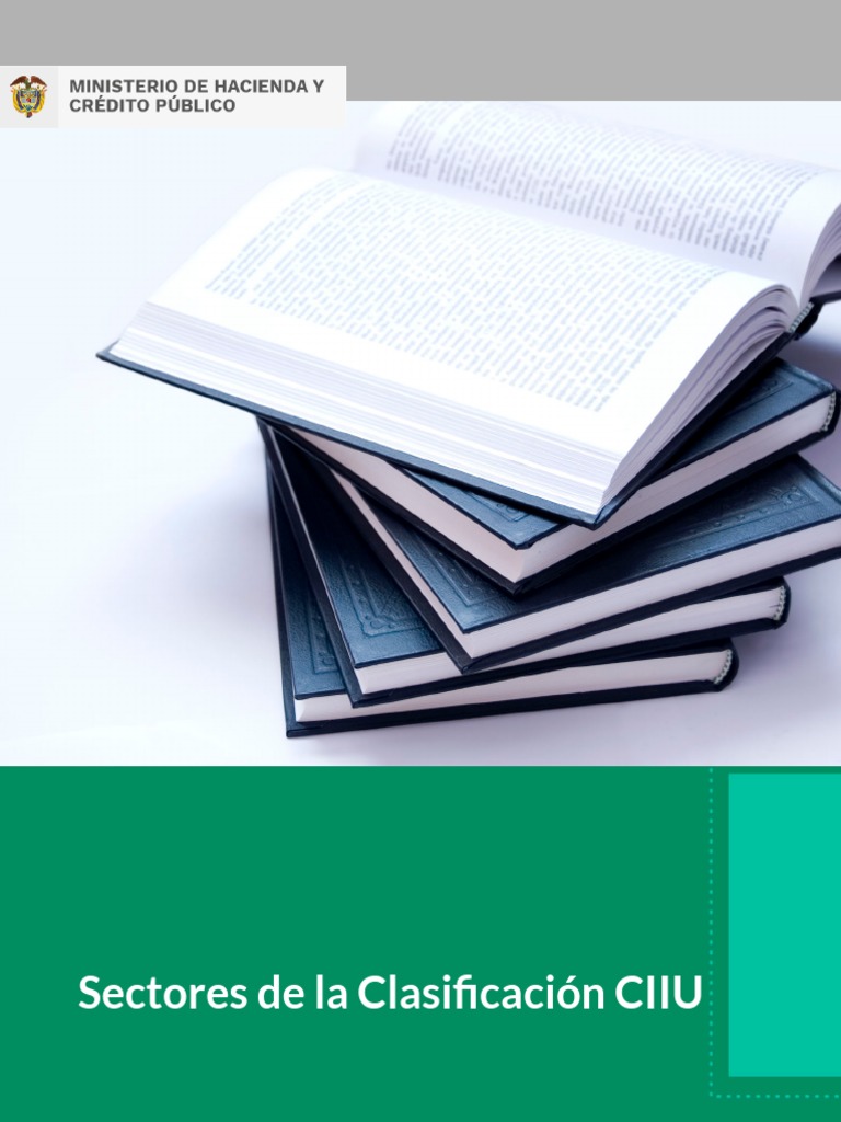 Sectores de La Clasificacion CIIU | PDF