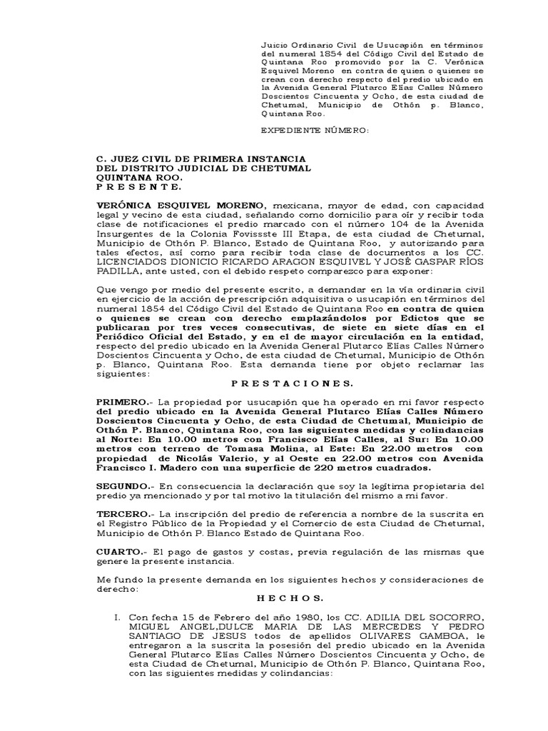 Demanda De Usucapion Pdf