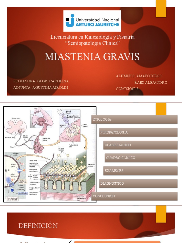 Miastenia Gravis Presentacion | PDF | Unión neuromuscular | Acetilcolina