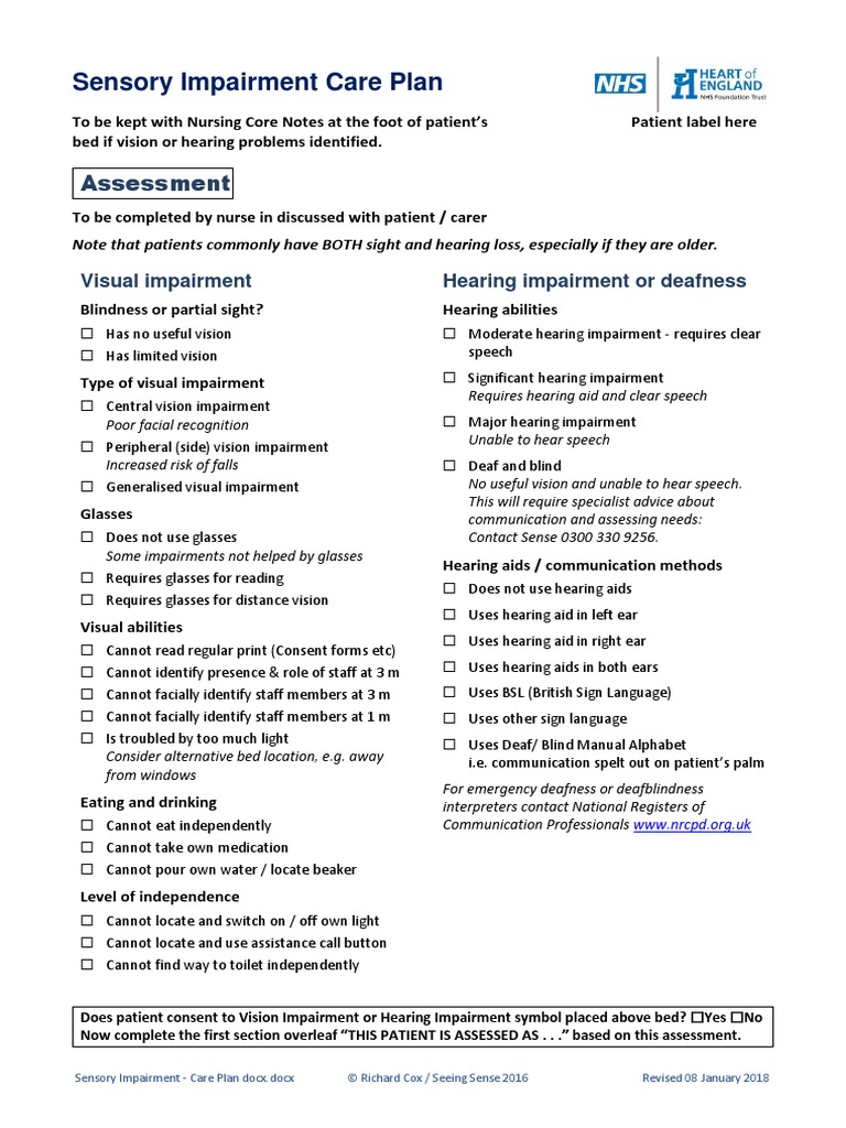 Sensory Impairment Care Plan Docx 1 | PDF | Visual Impairment | Hearing ...